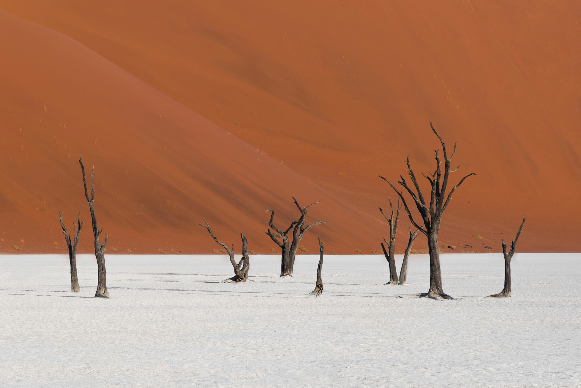 Barren Seasons | Devotions by Chris Hendrix